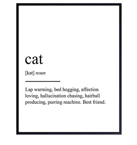 Amazon.com: Cat Definition Wall Art, Home Decor - Funny Poster, Print ...
