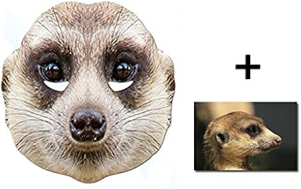 Mask Pack - Meerkat Animal Card Party Mask includes 6x4 inch (15cm x ...