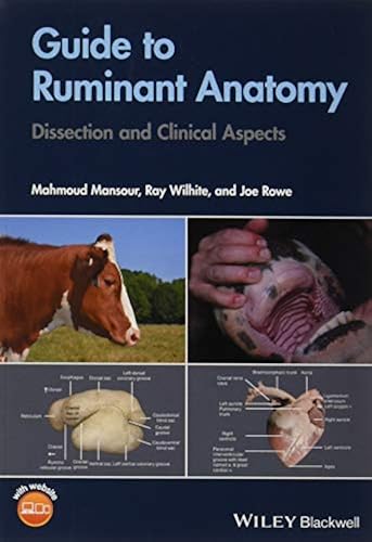 Guide to Ruminant Anatomy: Dissection and Clinical Aspects in Oman ...