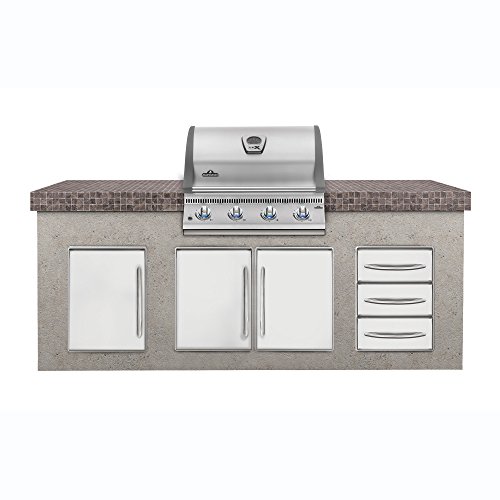 Napoleon LEX 485 Built-In Natural Gas Grill Review | Best Grill Reviews