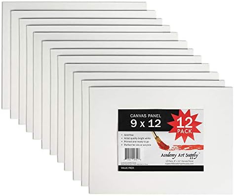 Amazon.com: Super Value Pack 12, 9x12 Canvas Panels - Academy Art ...