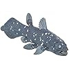 Amazon.com: Safari Ltd Wild Safari Dinosaurs Coelacanth: Toys & Games