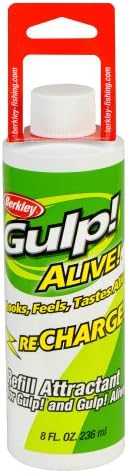Gulp Alive Recharge Liquid price in UAE | Amazon UAE | kanbkam