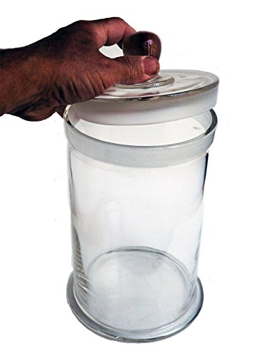 Glass Specimen Jar, 240 x 150mm with lid: Amazon.com: Industrial ...