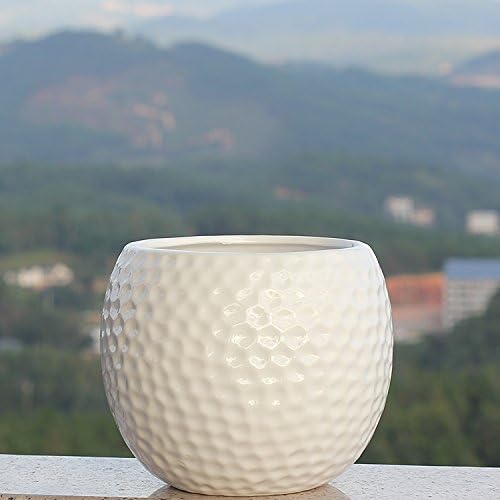 Amazon.com: Ceramic Modern Round Golf Ball Flower Planter Pot, Pure ...