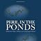 Peril in the Ponds: Deformed Frogs, Politics, and a Biologist's Quest ...