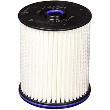 Amazon.com: ACDelco TP1016 Professional Fuel Filter with Seals: Automotive