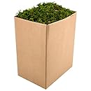Amazon.com: SuperMoss (25326) Forest Moss Preserved, Fresh Green, 5lbs ...