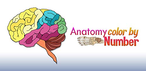 Amazon.com: Human Body Color By Number Art - Anatomy Coloring Book ...