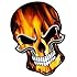 Gothic Biker SKULL Design with Electric Blue Flames Motif Vinyl Car ...