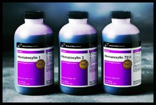 Stain Hematoxylin 1, 473 mL (1 pint) [ 1 Ea.]: Household Wood Stains: Amazon.com: Industrial ...