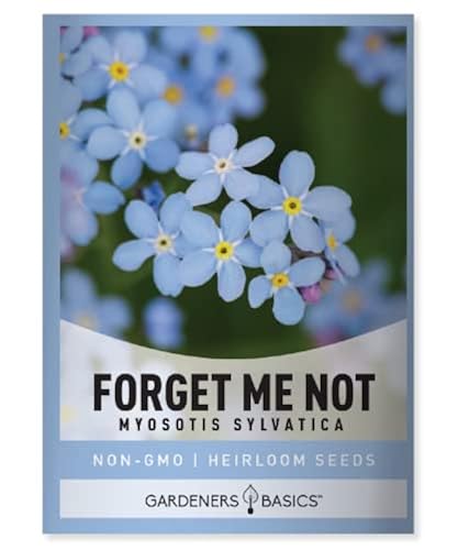 Forget Me Not Seeds for Planting - Myosotis Sylvatica Memorial and ...
