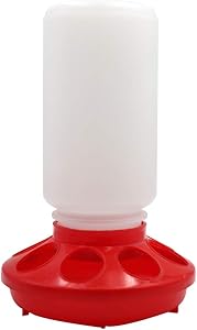 7 Best Pigeon Feeders Review | With Buyer's Guide