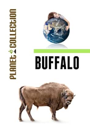 Buffalo: Picture Book (Educational Children's Books Collection) - Level ...