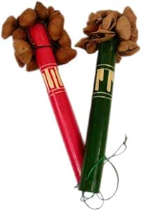 Amazon.com: Two Amazon Seed Rattles Shaman Musical Instrument Peru ...