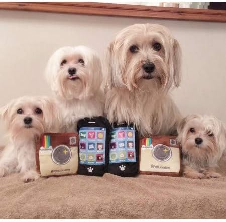 PetLondon Smart Phone Soft Plush Puppy Dog Toy iBone, 6″ Realistic Dog ...