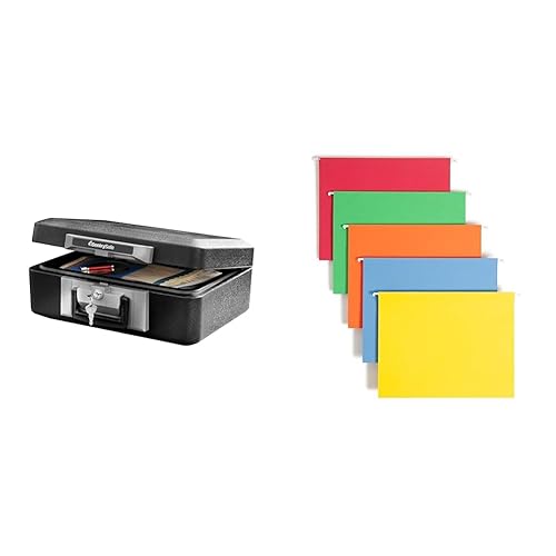 SentrySafe Fireproof Safe Box with Key Lock, Chest Safe & Smead Colored ...
