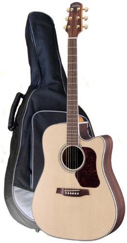 Walden Acoustic Guitars Walden Guitars D600Ce Natura Series Acoustic ...