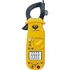 UEi Test Instruments DL389 TRMS Dual Display Digital Clamp-on Meter in ...