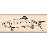 Amazon.com: Trout Rubber Stamp: Arts, Crafts & Sewing