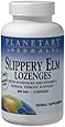 Amazon.com: Planetary Herbals Slippery Elm Lozenges, 24 Count: Health ...