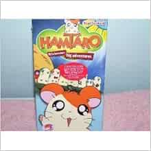 Hamtaro: Little Hamsters, Big Adventures: 9781569318737: Amazon.com: Books