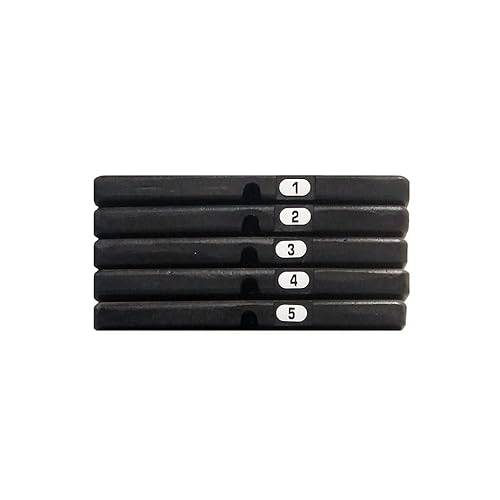 Body-Solid 50 Pound Weight Stack Add On Kit (SP50), Powerline Home Gym ...
