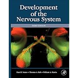 From Neuron to Brain: A Cellular and Molecular Approach to the Function ...