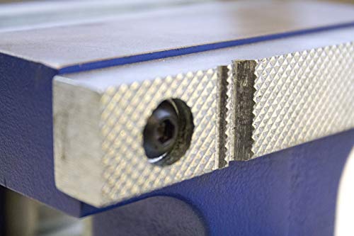 Yost Vises 865-D2 Reversible Combination Vise System | 6.5 Inch Jaw ...