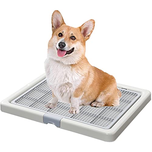 Smart Paws Corgi Potty Training Toilet,French Bulldog Training Tray,Pet ...
