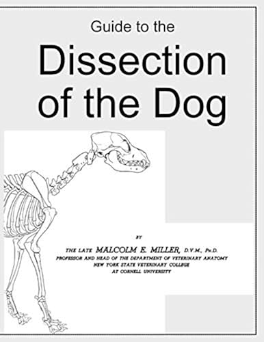 Guide to the Dissection of the Dog in Oman | Whizz