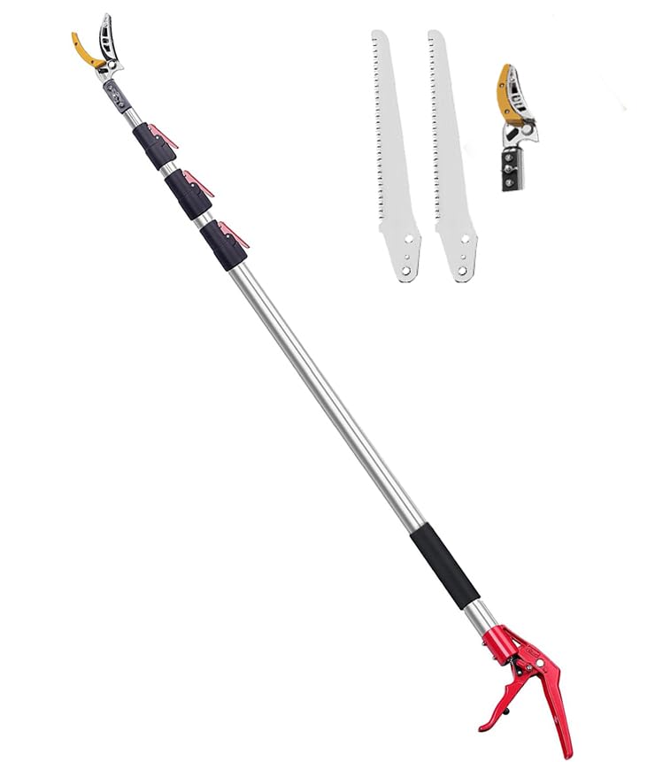 TrueCutters 4-11.5 Ft Extendable Tree Pruner & Pole Saw – Telescopic ...