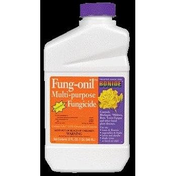 Amazon.com : Fung-Onil Multi-Purpose Fungicide Concentrate ...