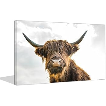 Amazon.com: Signature Design by Ashley A8000258 Pancho Wall Art, Black ...