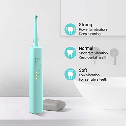 Electric Tartar Remover for Teeth, NICARE Plaque Remover for Teeth ...