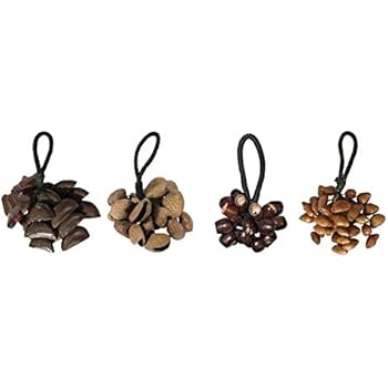 Amazon.com: Shaker Hand Chacha: Musical Instruments