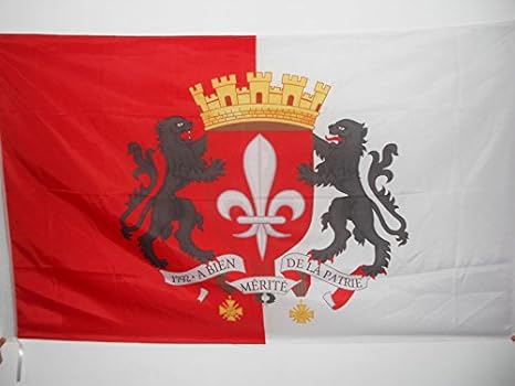 Amazon.com : AZ FLAG Lille Coat of Arms Flag 3' x 5' for a Pole ...