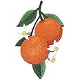 Amazon.com: Nature Weaved in Threads, Amazing Fruits[Oranges] [Custom ...