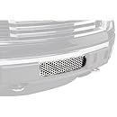Amazon.com: Putco 84182 Ecoboost Punch Design Bumper Grille Insert for ...