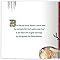 Amazon.com: Secret Santas: And the Twelve Days of Christmas Giving ...