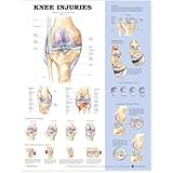 Amazon.com: Knee Injuries Anatomical Chart : Anatomical Chart Company ...