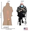 Advanced Graphics Bernie Sanders Meme Life Size Cardboard Cutout ...