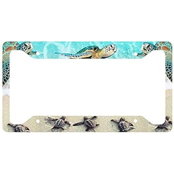 Amazon.com: Sea Turtle License Plate Frame, Stock # 96-03: Automotive