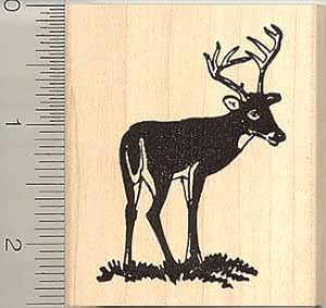Amazon.com: Buck Deer Rubber Stamp - Wood Mounted : Arts, Crafts & Sewing