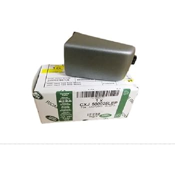 Amazon.com: Genuine LAND ROVER CAP DOOR HANDLE RANGE ROVER 03 09 FRONT ...