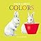 Amazon.com: White Rabbit's Colors (Little Rabbit Books): 9780753473597 ...