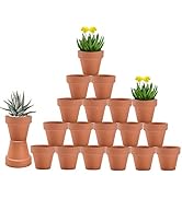 Amazon.com: 4 Inch Terra Cotta Pots with Saucer - 6 Pack Clay Flower ...