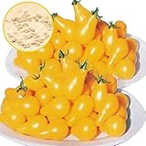 Miniature Pear Bonsai Tree