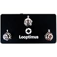 Amazon.com: Looptimus Mini 3-button USB MIDI Controller : Musical ...
