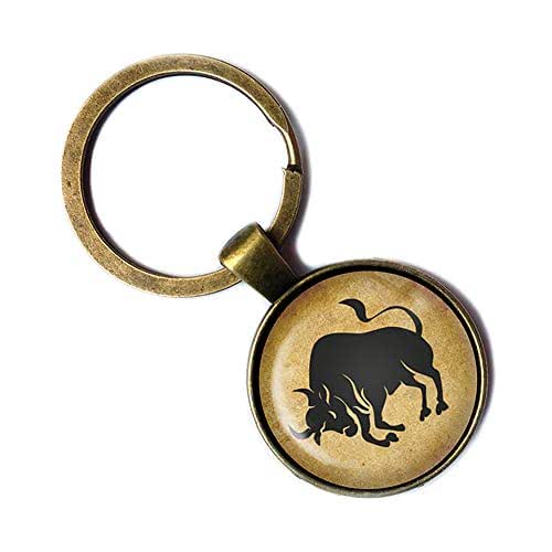 Amazon.com: Zodiac Symbol Astrology Taurus Bronze Keychain Keyring ...